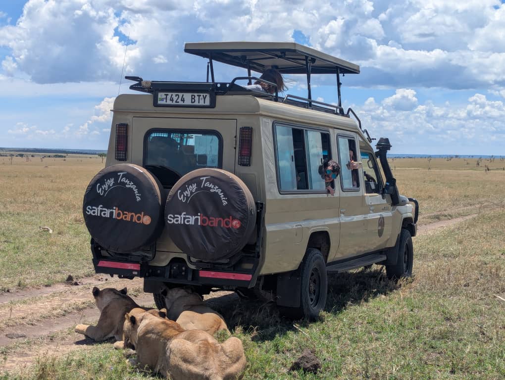 Top 3 Reasons to Visit Tanzania | SafariBando