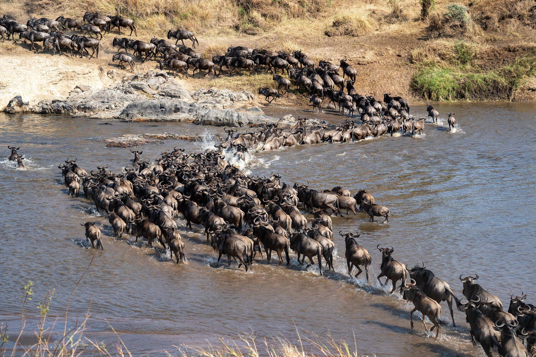 Top 3 Reasons to Visit Tanzania | SafariBando